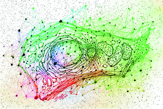 RNA-dependent interactome allows network-based assignment of RNA ...